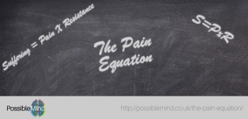 The Pain Equation - The Possible Mind
